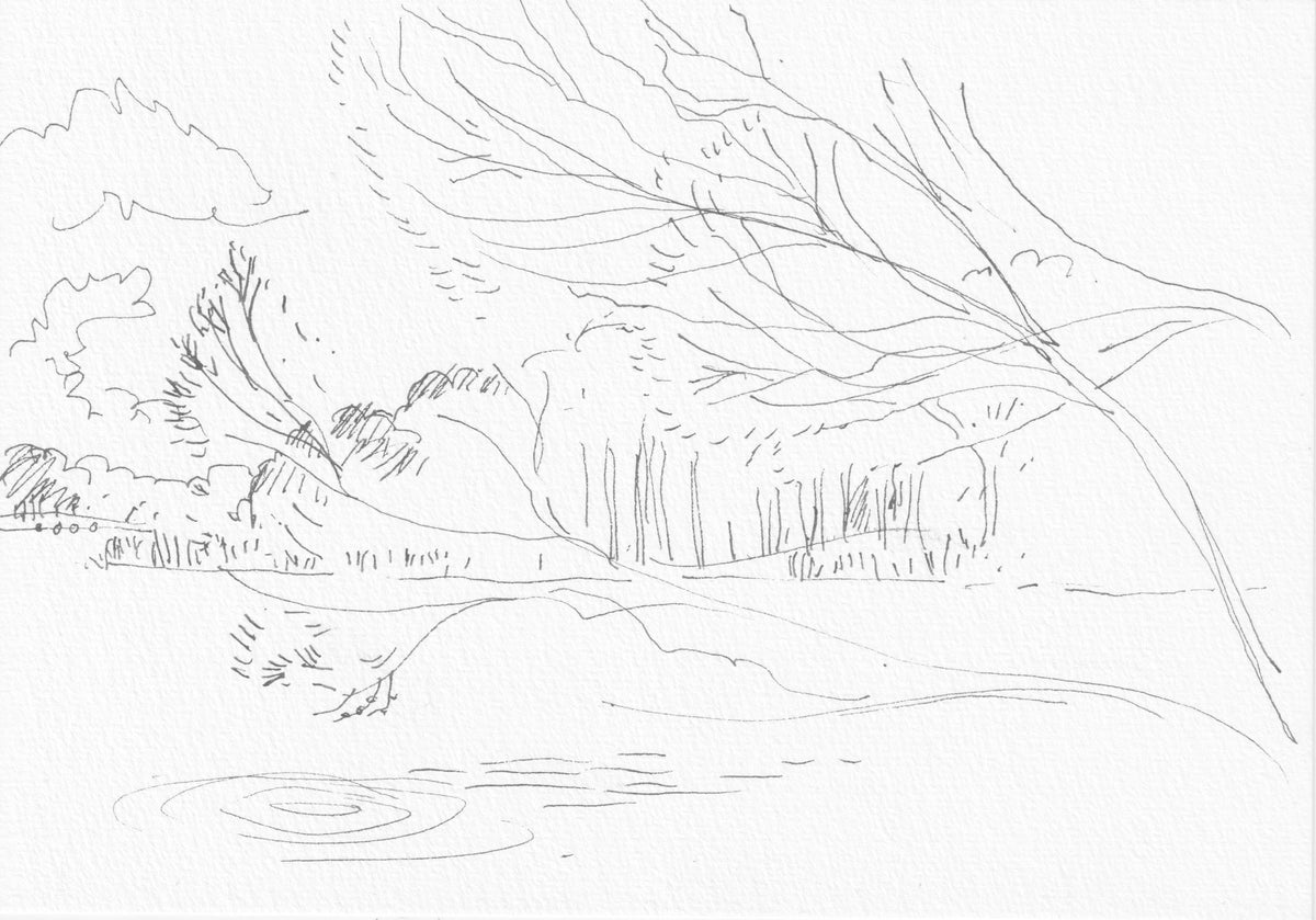 The Shop at Belco Arts | Drawing | Looking northwest with overhanging ...